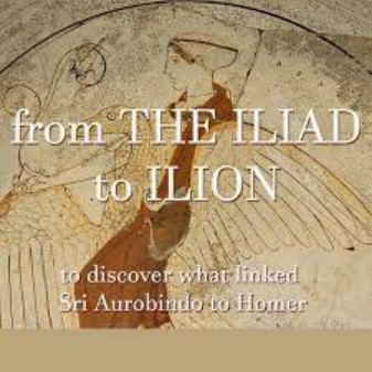 Gods of Olympus - Family tree 17 - Greek mythology