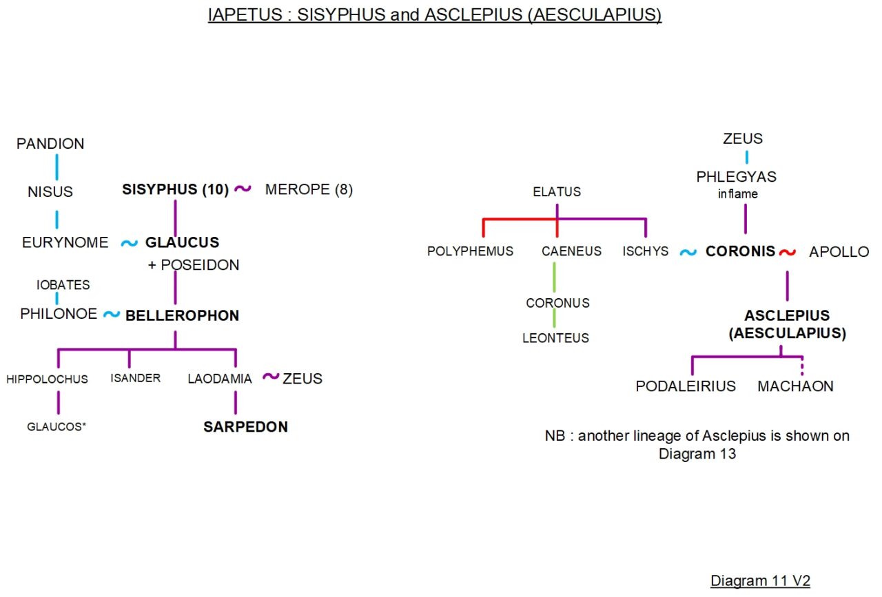 Sisyphus and Bellerophon - Family tree 11 - Greek mythology
